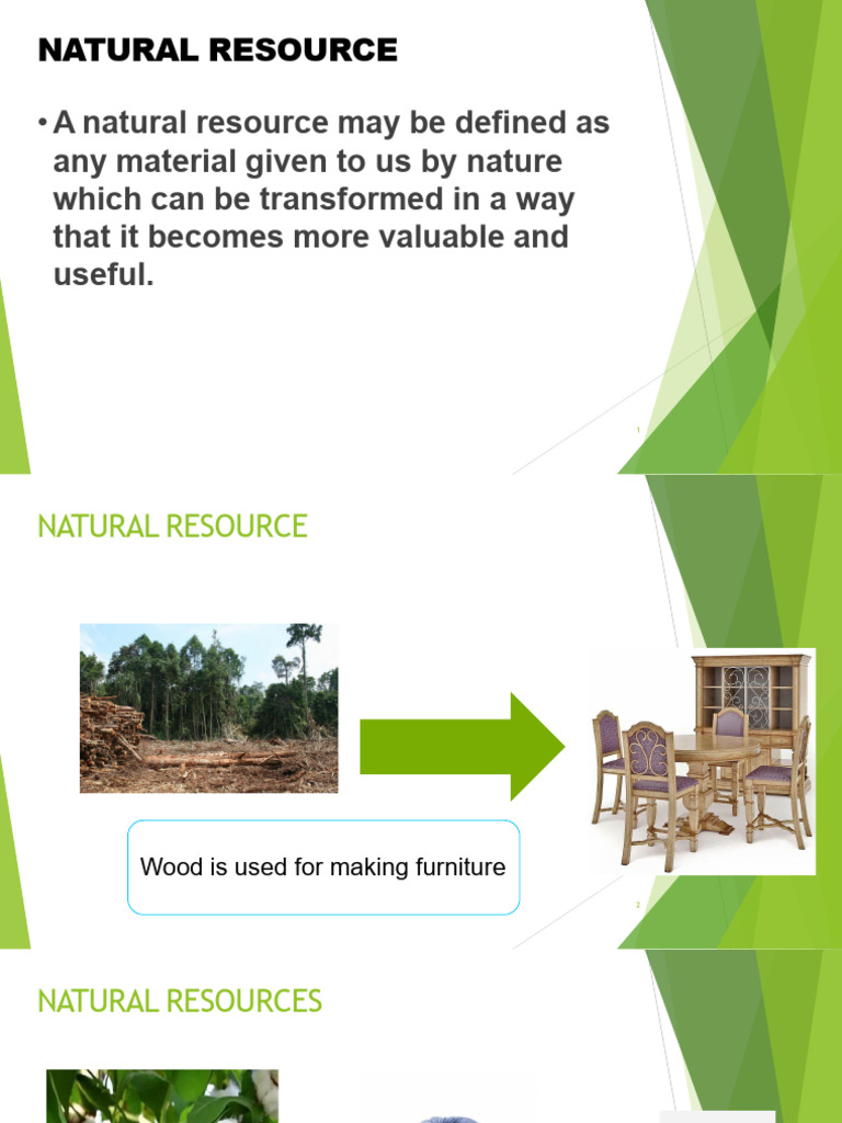 Understanding Natural Resources: Types & Uses | PDF | Petroleum ...