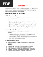 Different Types of Imagery | PDF | Somatosensory System | Senses