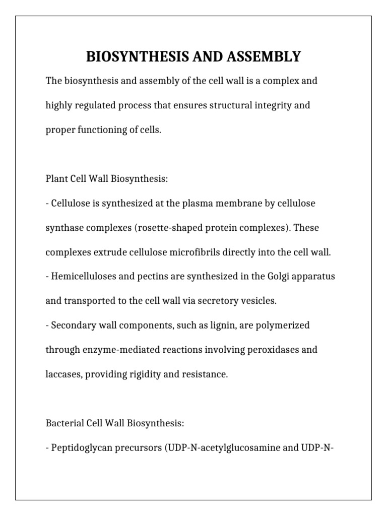 Biosynthesis Assembly Cell Wall | PDF | Cell Wall | Histology