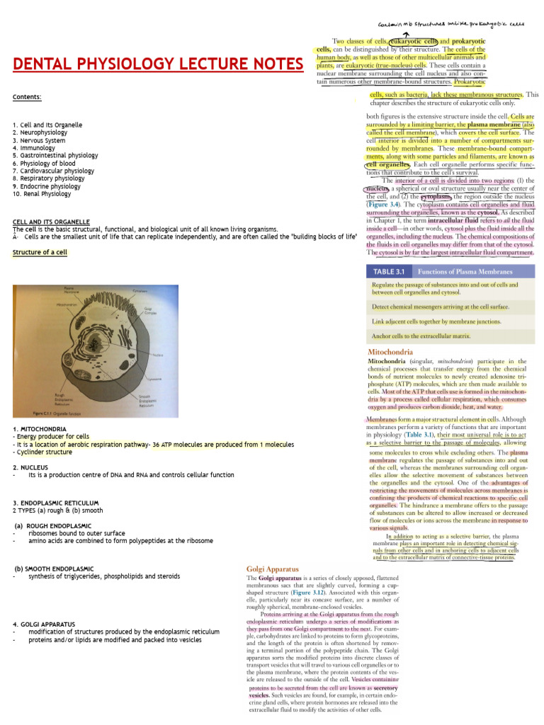 Physio - Vanders and Samson | PDF | Endoplasmic Reticulum | Cell (Biology)