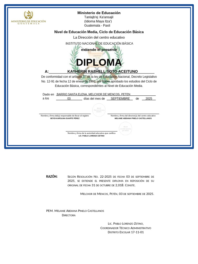 Diploma Basico 2025 | PDF