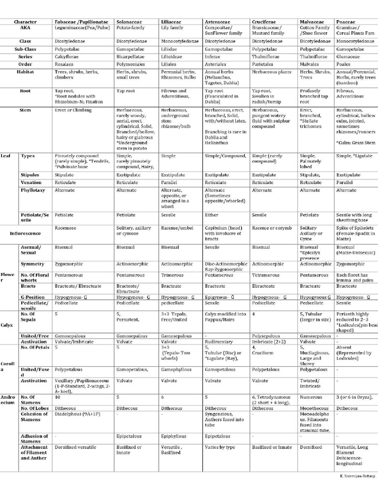 Families of Angiosperms-Comparitive Chart-SaiSrujan | PDF