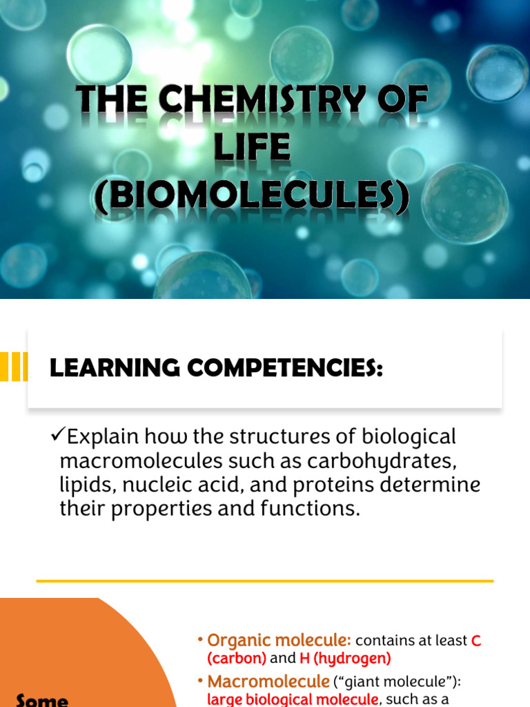Understanding Biological Macromolecules | PDF | Carbohydrates | Dna