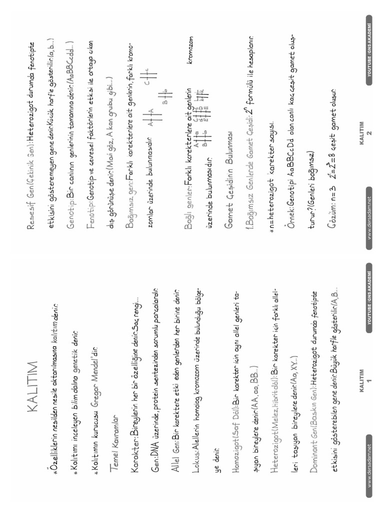 Kali Tim | PDF
