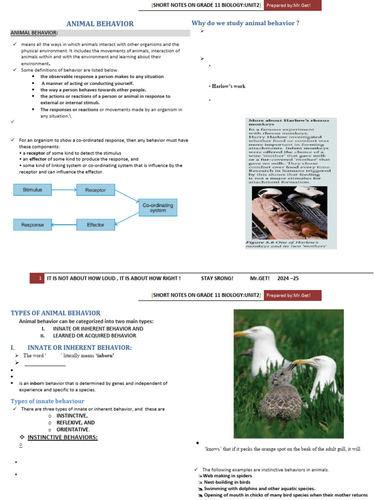 Animal Behavior g11 | PDF | Classical Conditioning | Ethology