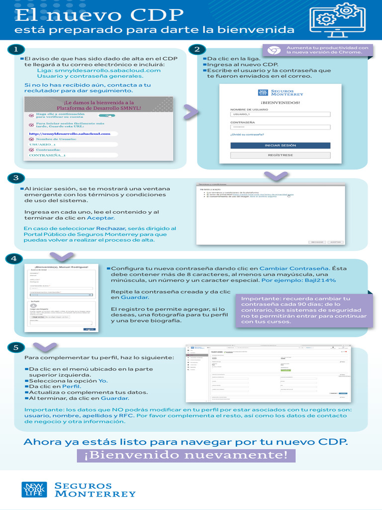 CDP (1) Manual de Ingreso CDP | PDF | Contraseña | Informática