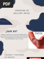 Síndrome de Mallory-Weiss: Causas y Manejo | PDF | La enfermedad por ...