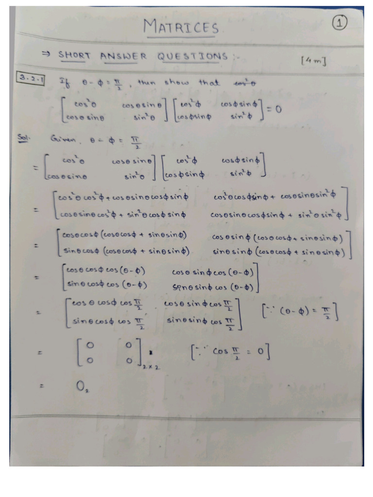 Matrices Saqs | PDF
