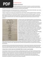 Disdiadococinesia: Definição e Teste | PDF