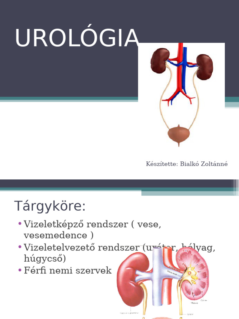 UROLÓGIA | PDF