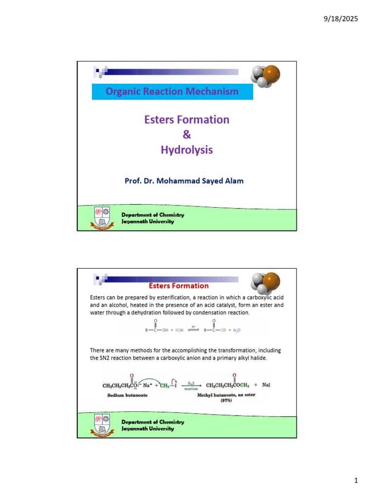 CHE 3121 Ester Formation Hydrolysis | PDF