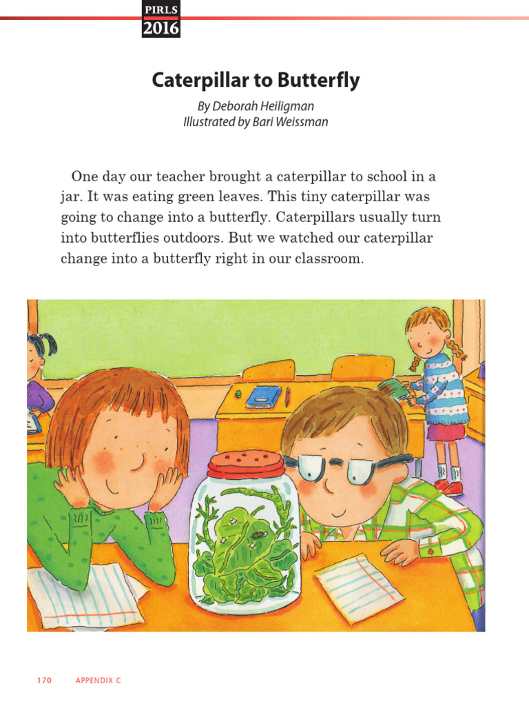 Classroom Journey: Caterpillar to Butterfly | PDF | Butterfly | Pupa