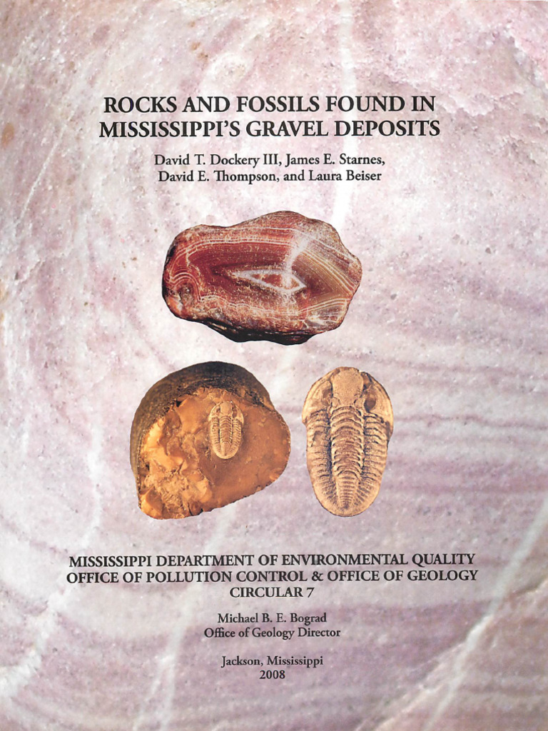 Rocks and Fossils Found In Mississippi's Gravel Deposits | PDF | Gravel ...