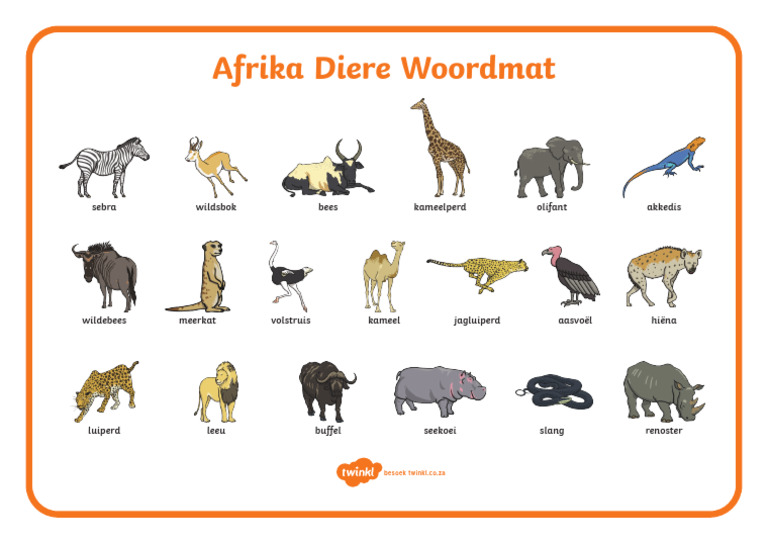 Afrikaans Suidafrikaanse Diere Woordmat Ver 4 | PDF