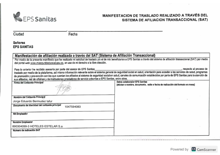 Formato Sat Sencillo1 | PDF