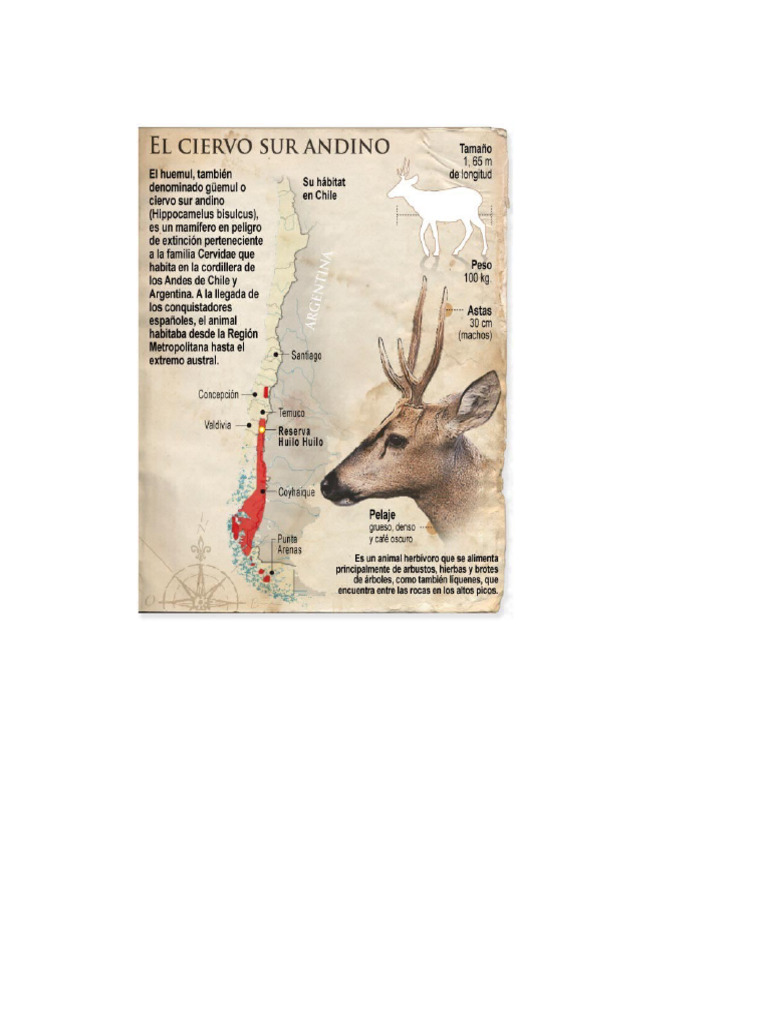 Recortes Huemul | PDF