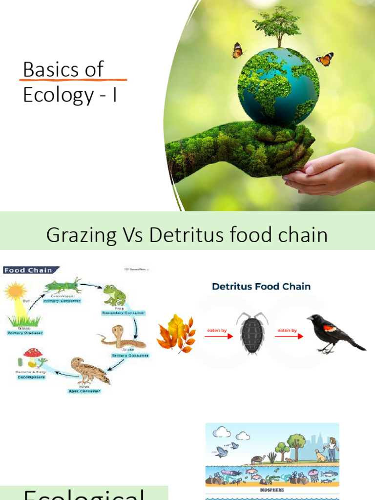 OIAS MATERIAL 1755141341 Class2 Env EM B@TCH 14 8 25 | PDF | Food Web | Ammonium