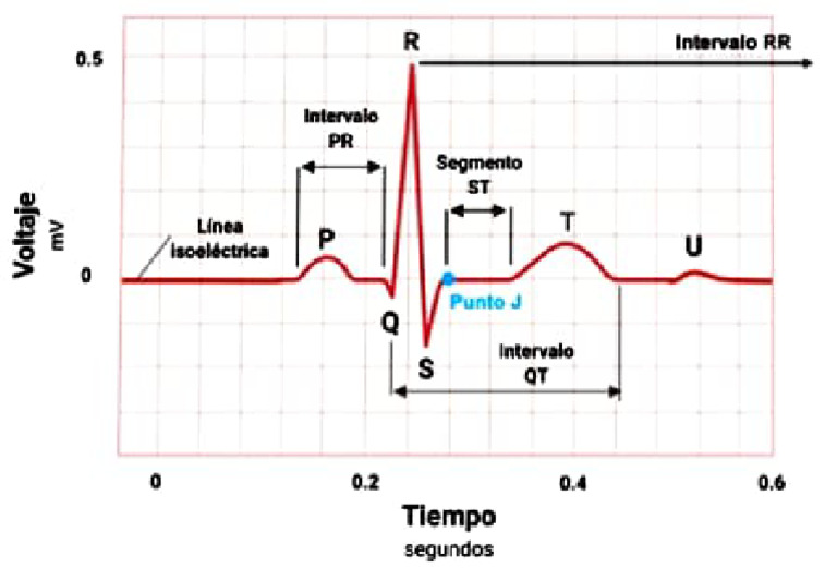 Ekg Normal | PDF