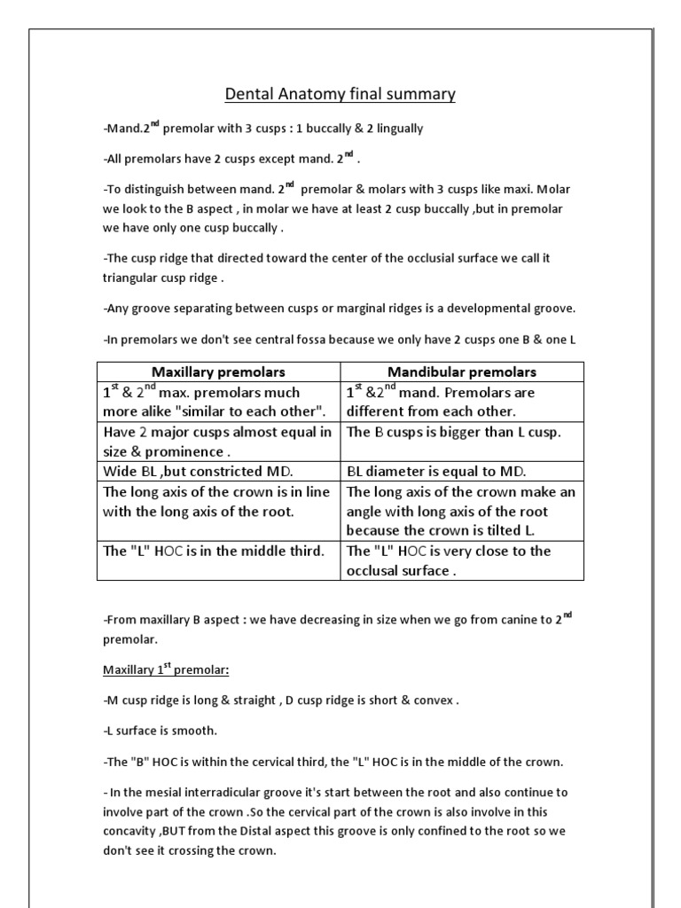 Final Dental Anatomy | PDF