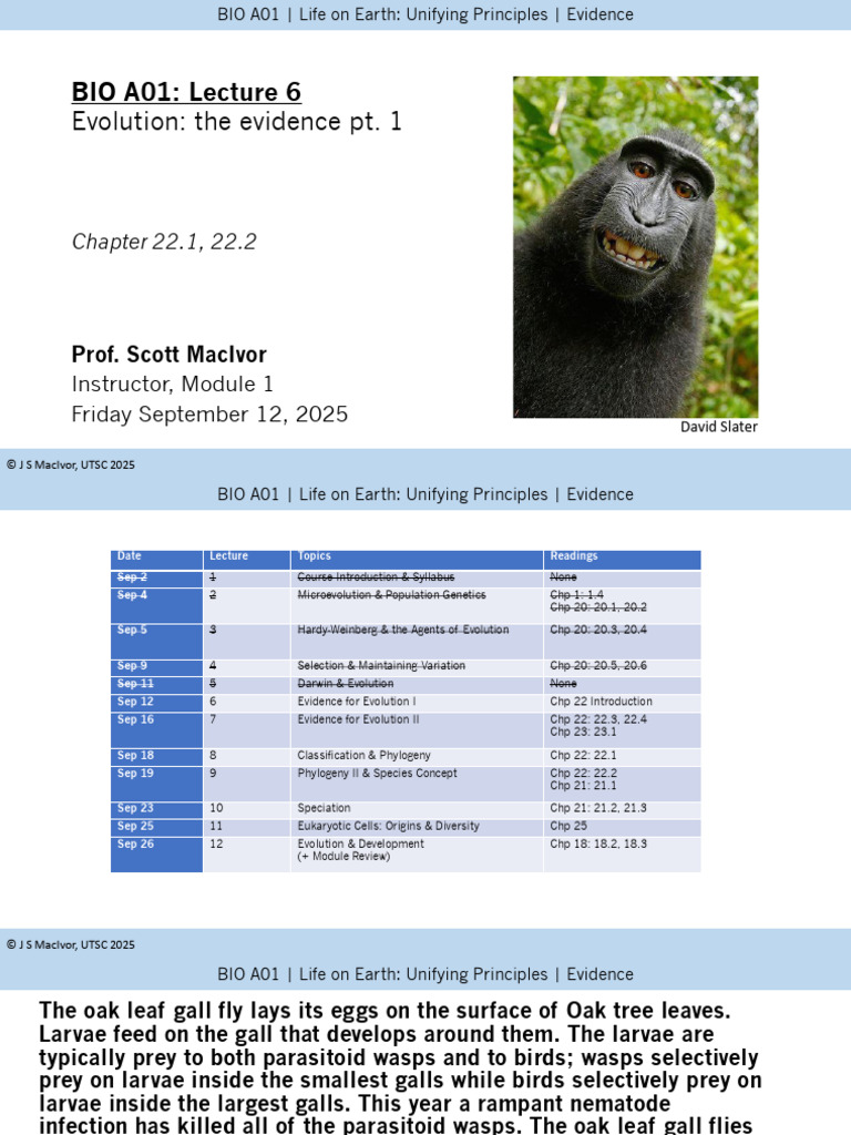 Evidence for Evolution: Lecture 6 Insights | PDF | Evolution ...