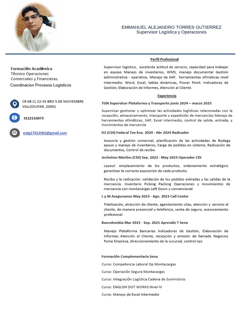 Perfil Profesional de Emmanuel Torres Gutiérrez | PDF | Logística ...