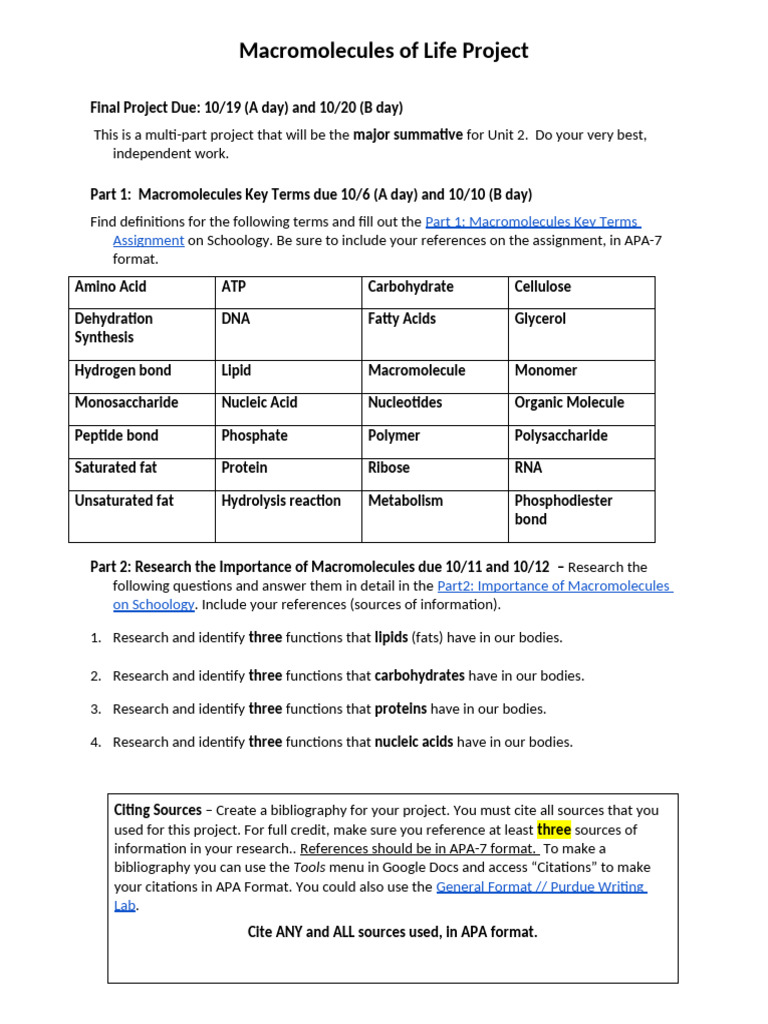 Macromolecules of Life Project Guide | PDF | Macromolecules | Lipid