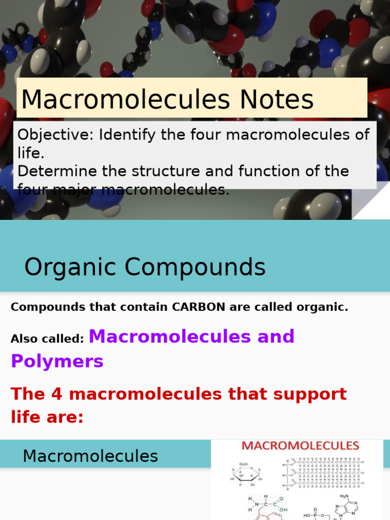 Understanding Macromolecules Structure | PDF | Carbohydrates | Glucose