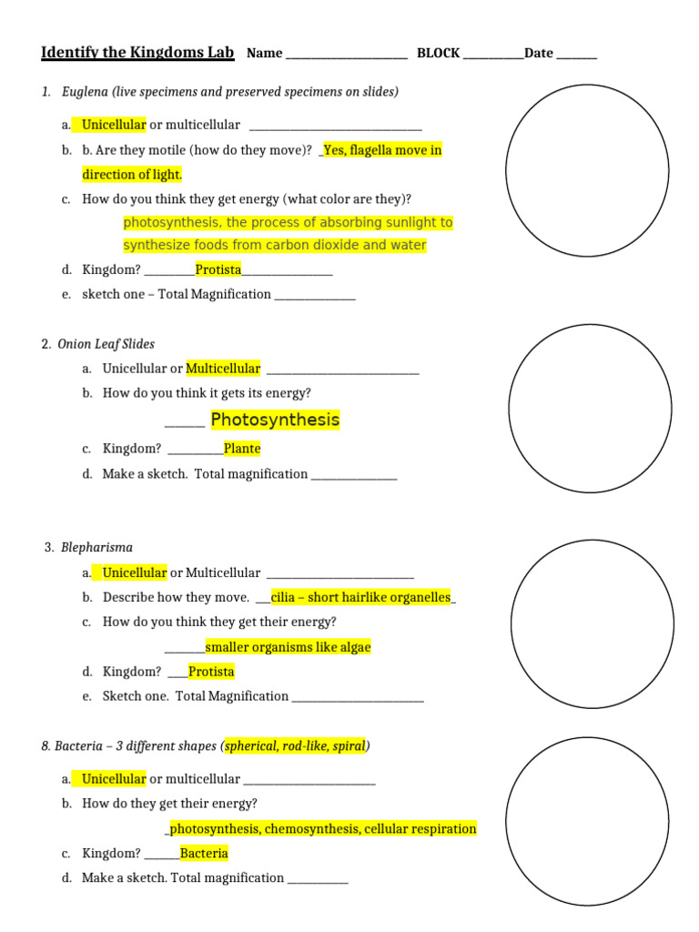 Kingdoms Lab: Organism Classification Guide | PDF | Biology | Organisms