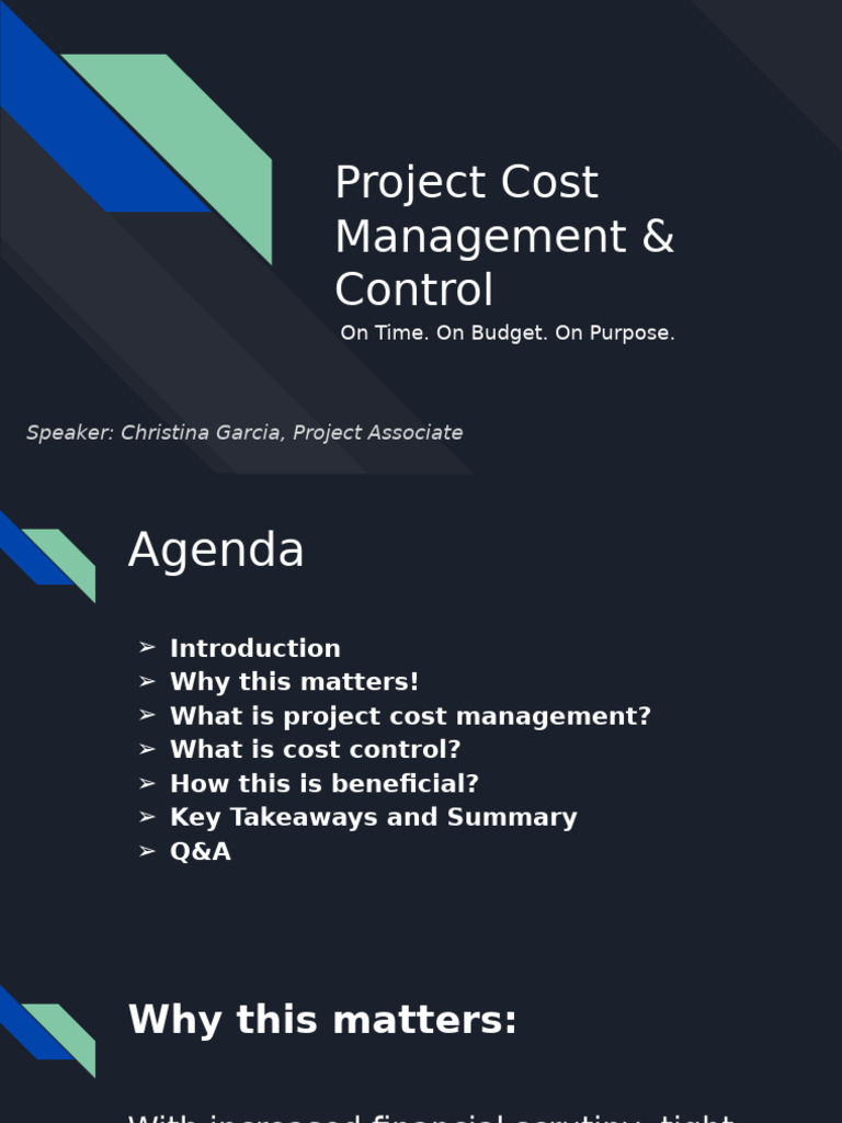 Project Cost Management & Control | PDF