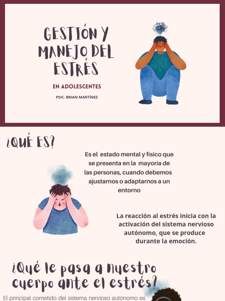 Gestión y Manejo Del Estrés | PDF