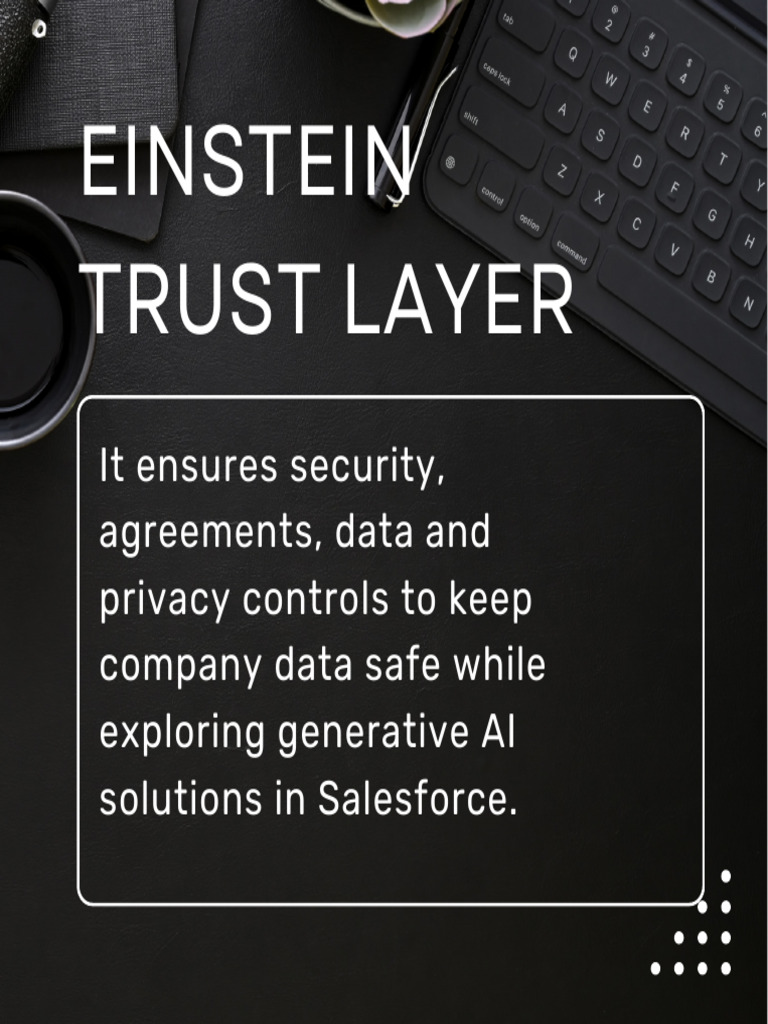 Einstein Trust Layer | PDF