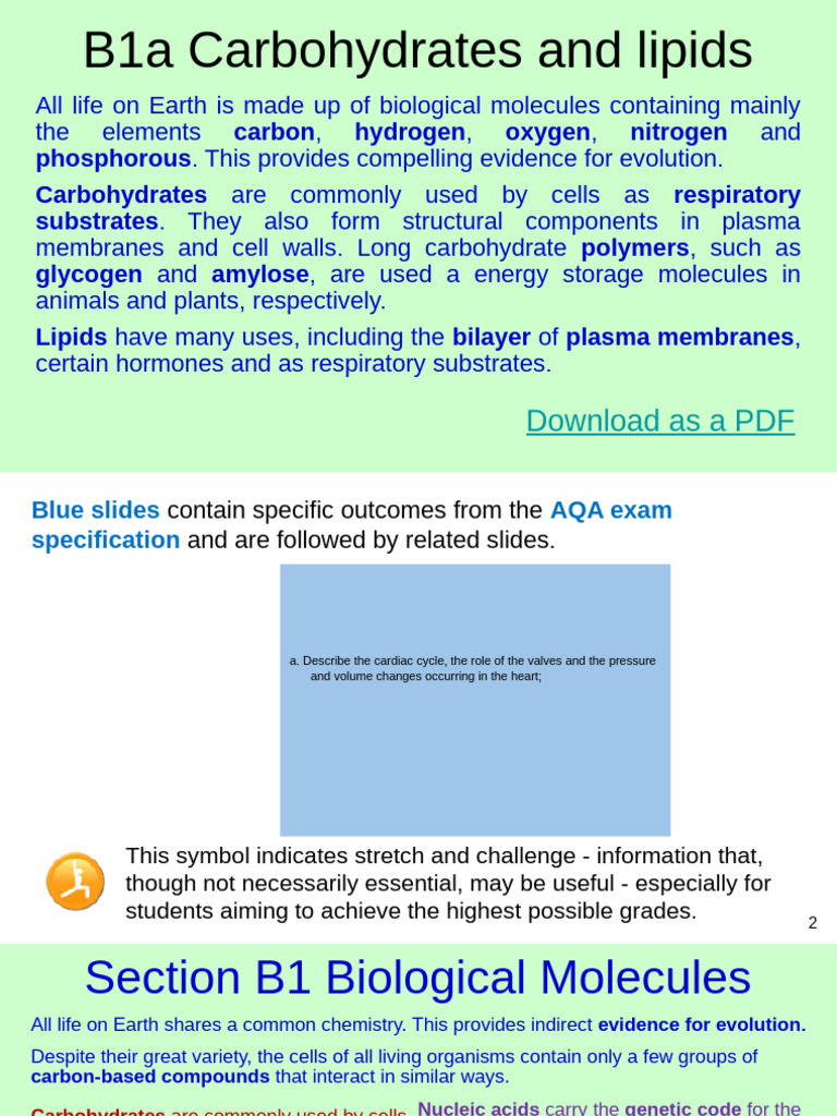 B1a Carbohydrates & Lipids SLIDES | PDF | Ion | Fatty Acid