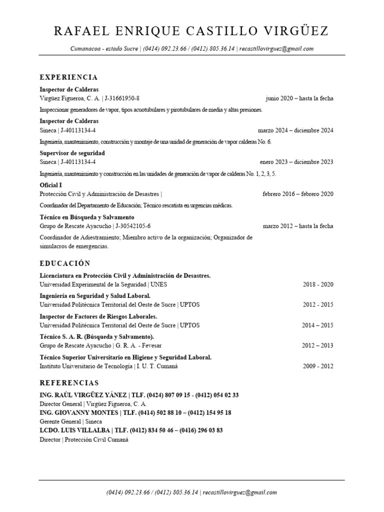 Perfil Profesional de Rafael Castillo | PDF | Seguridad Pública | Business