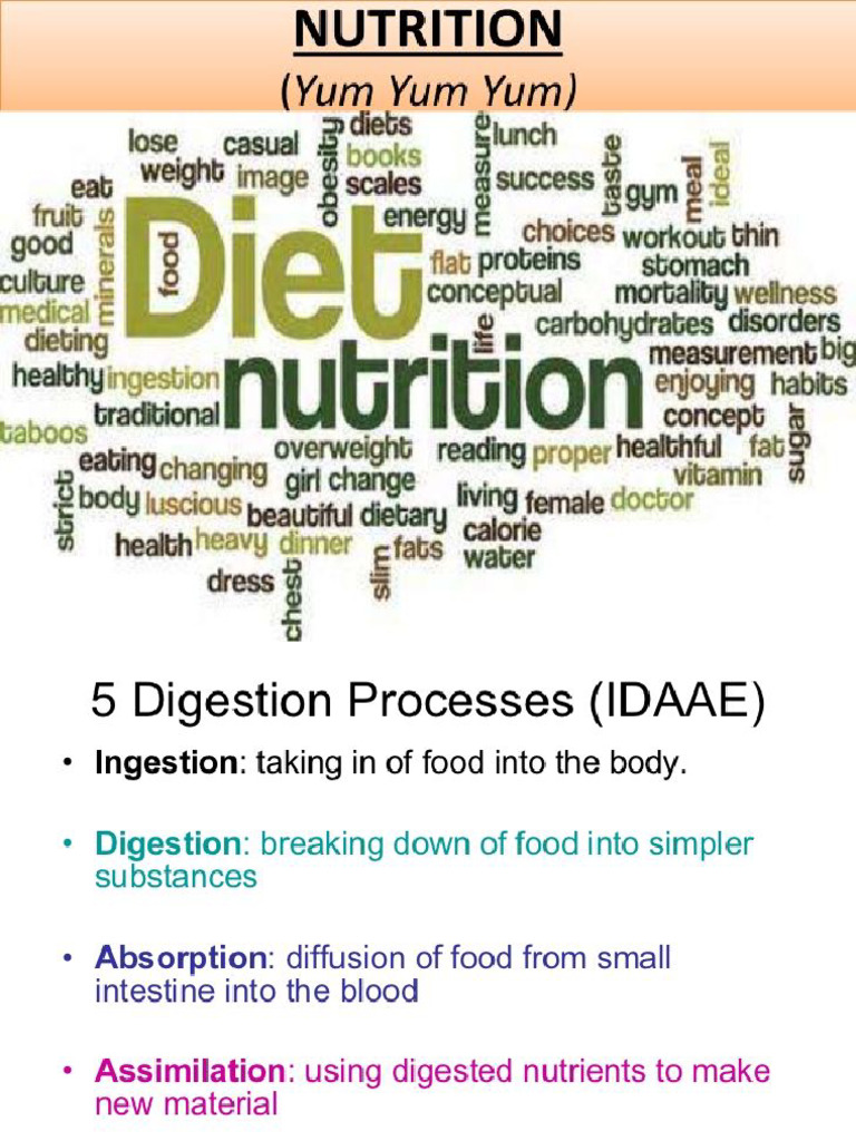 Digestion and Nutrition | PDF