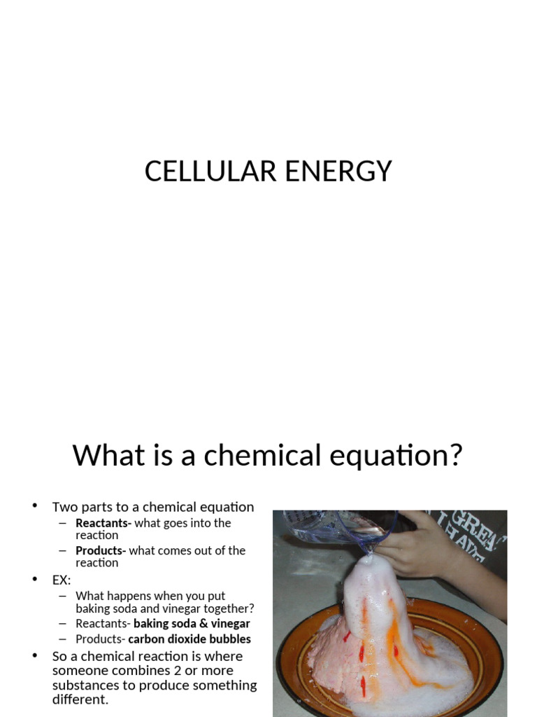 Cellular Energy PPT 3 | PDF | Cellular Respiration | Adenosine Triphosphate