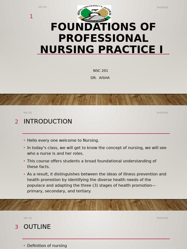 Foundations of Professional Nursing Practice | PDF | Nursing | Florence ...