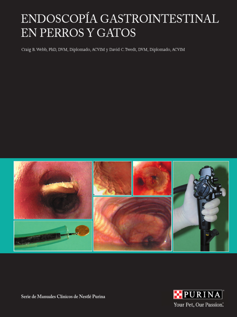 ENDOSCOPIA Perros y Gatos | PDF | Endoscopia | Biopsia