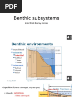 Sandy Beach Ecosystems Explained | PDF | Beach | Coast