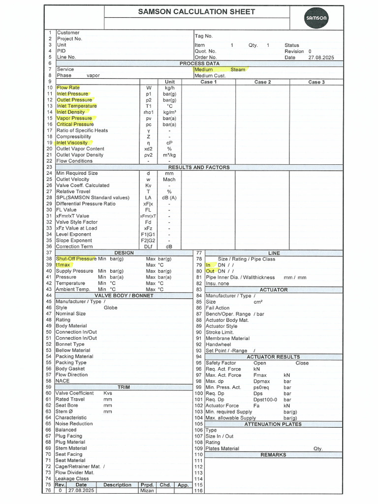 Steam Sizing Template | PDF