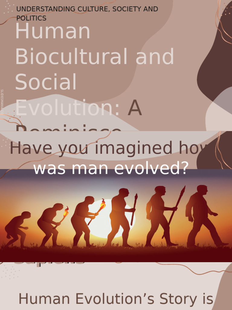 Chapter 3 Human Biocultural and Social Evolution A Reminisce | PDF | Homo | Stone Age