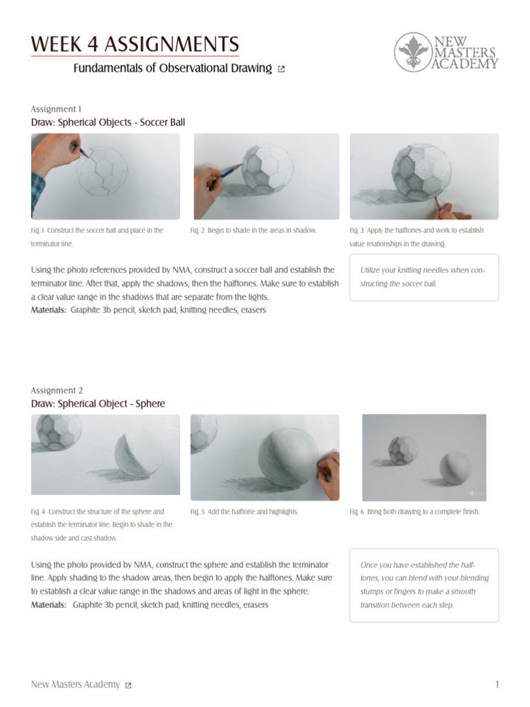 Fundamentals Of-Observational Drawing Week 4 Assignment LT | PDF
