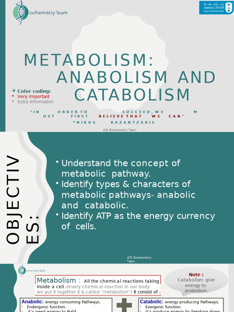 9-Metabolism - Anabolism and Catabolism | PDF | Metabolic Pathway ...