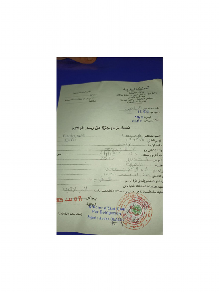 Nokoprint 250908 1624 | PDF