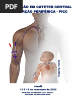 Prot Picc Ebserh | PDF | Veia | Enfermagem
