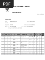 Local Travel Conveyance Claim Form | PDF | Expense | Employee