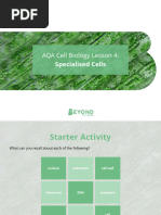 Specialised Animal Cells - Living Organisms - KS3 Biology - BBC ...