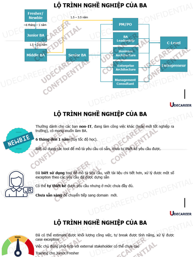 04 BA Career Path | PDF