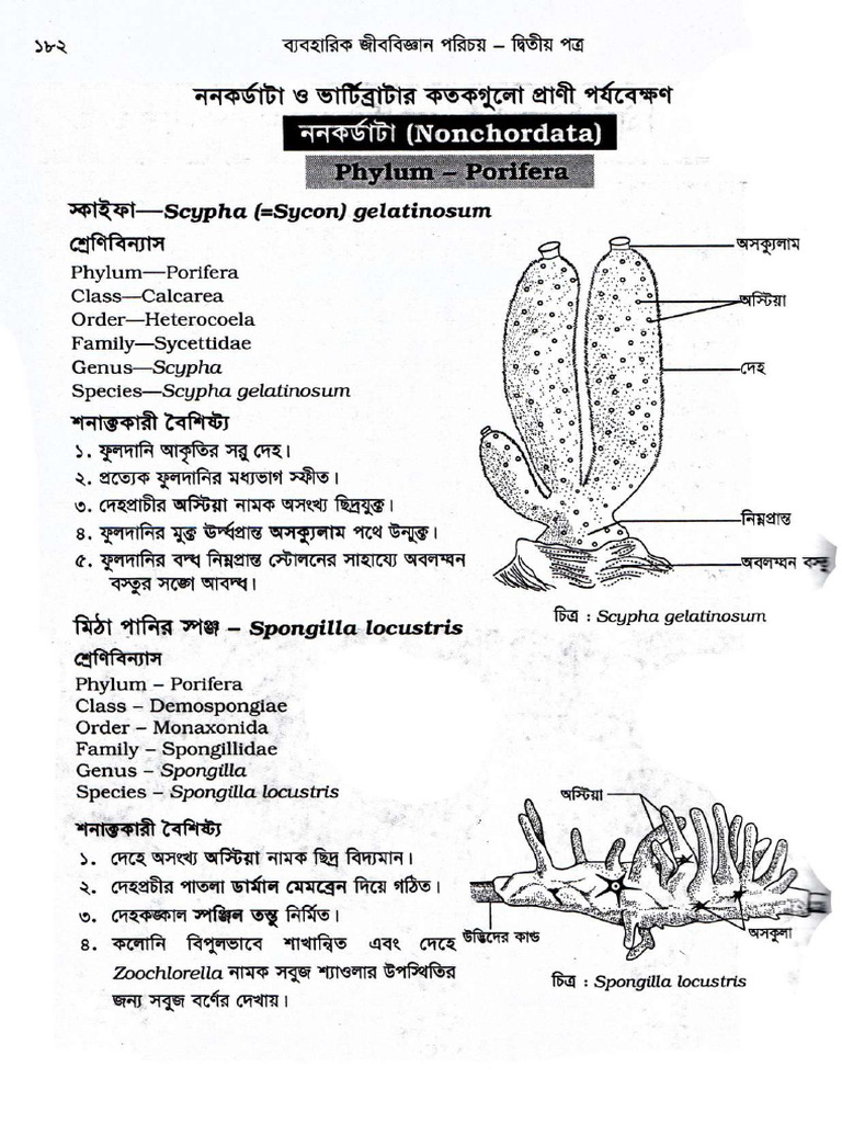Biology 2nd Paper Practical | PDF
