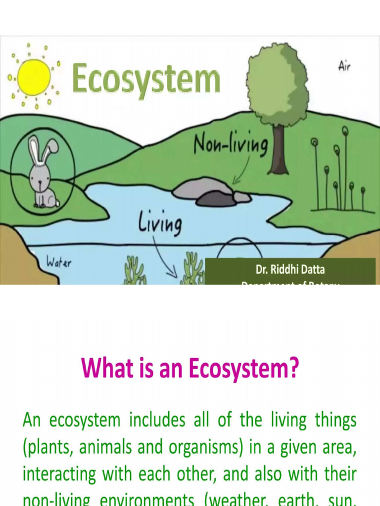 Types of Ecosystem | PDF