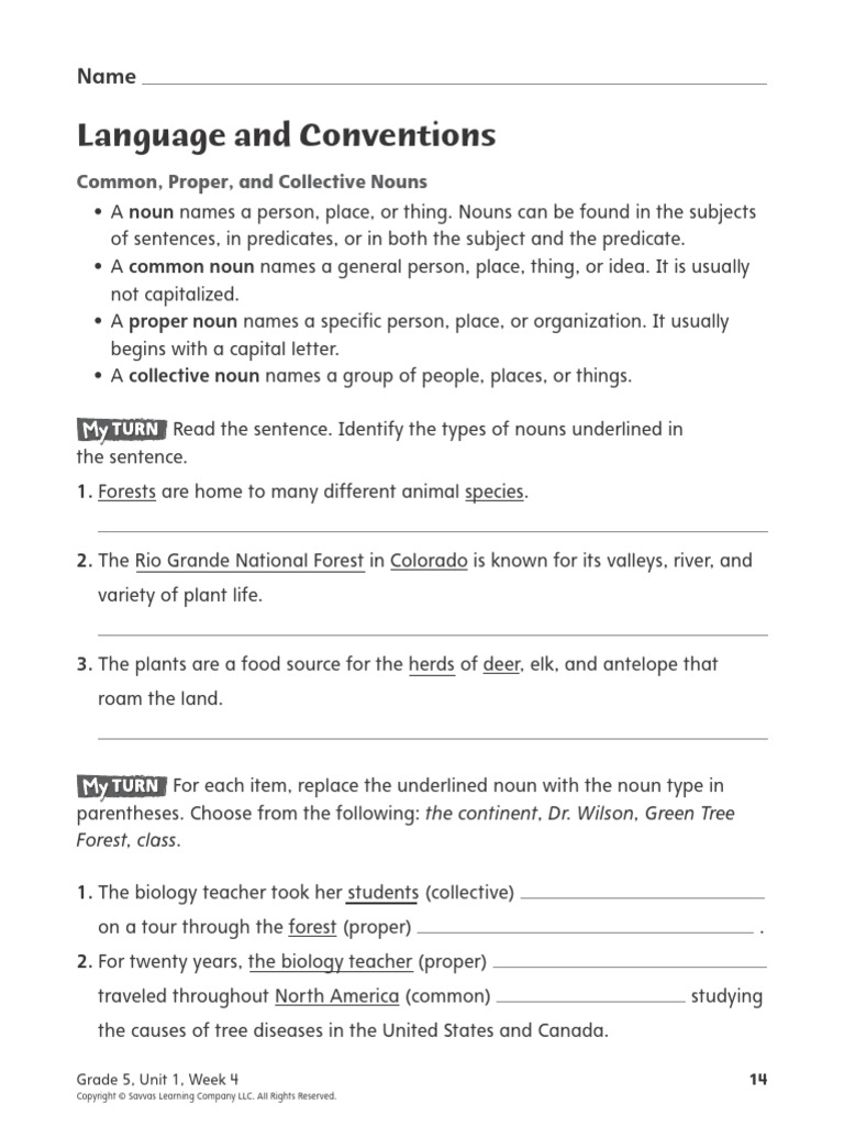 Language and Conventions Lessons Web | PDF